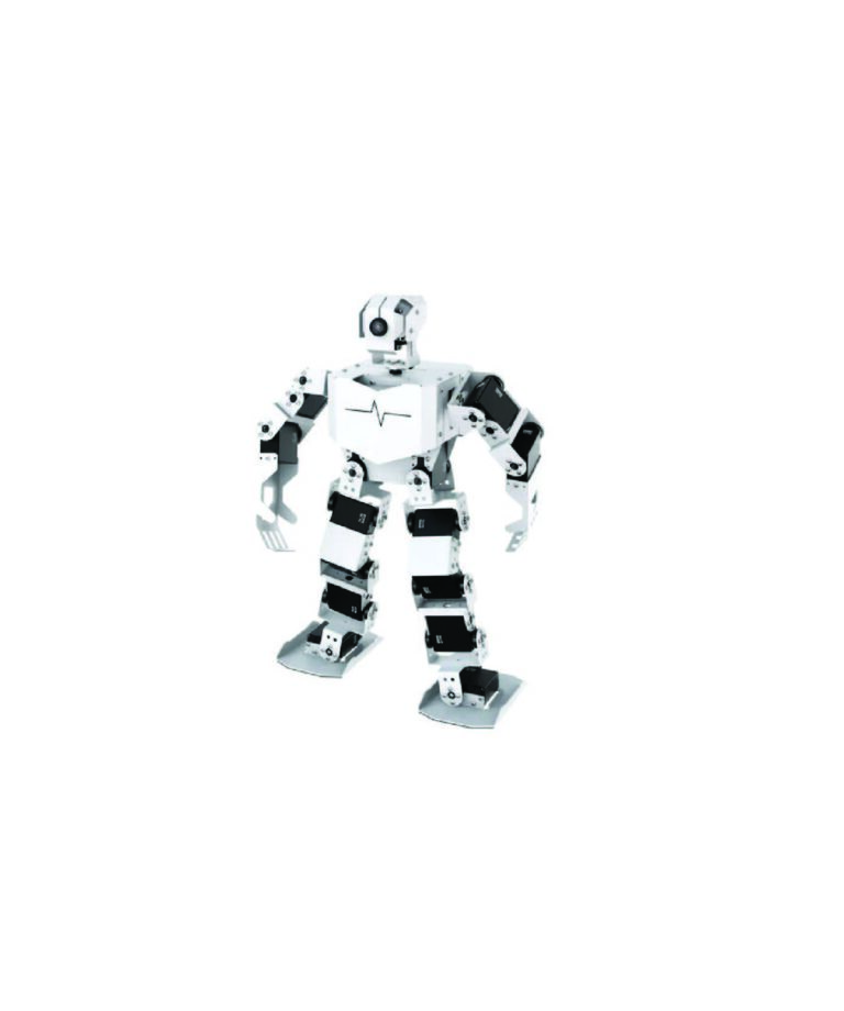 Purchase our AI Intelligent Vision Humanoid Robot 2025