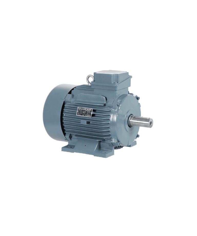 Induction Motor for 2026